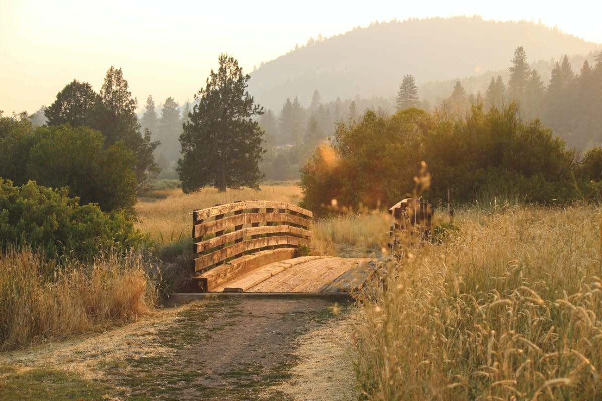 29+ (actually) Fun and Interesting Facts about Texas - Happy To Be Texas