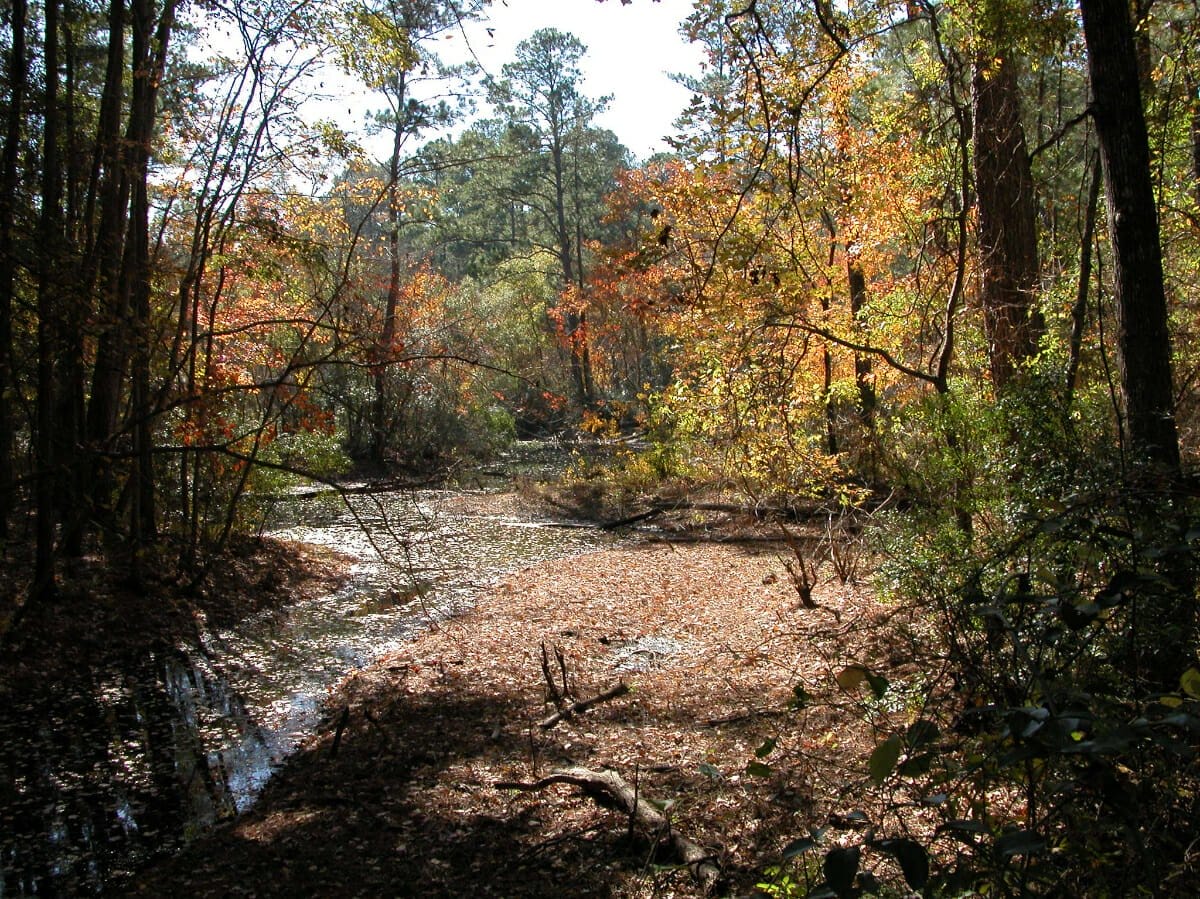 27+ Incredible Day Trips from Dallas, Texas - Happy To Be Texas