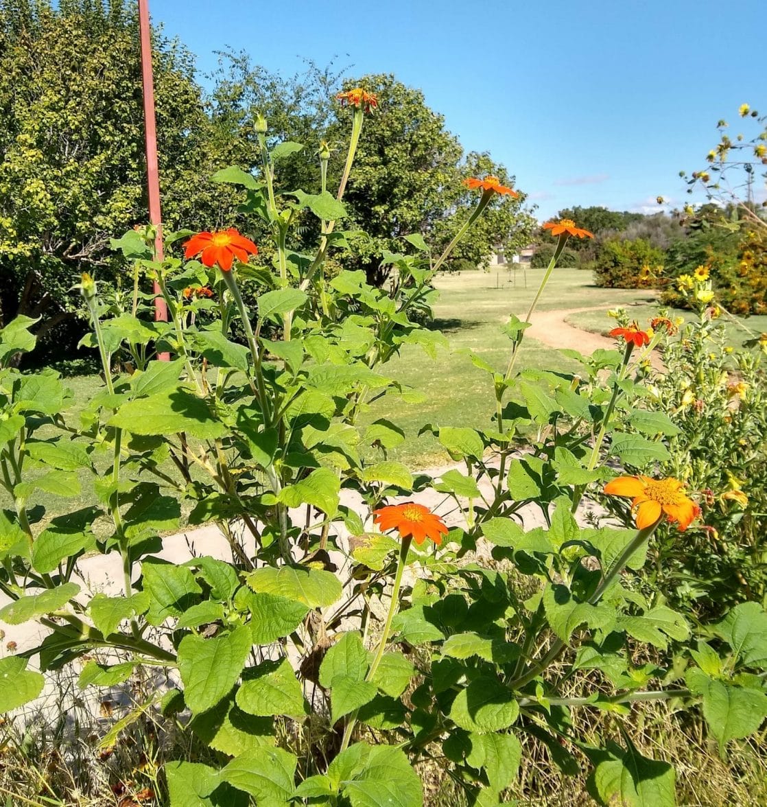 19+ Incredible Outdoor Things to Do in Lubbock, Texas (2026) - Happy To ...