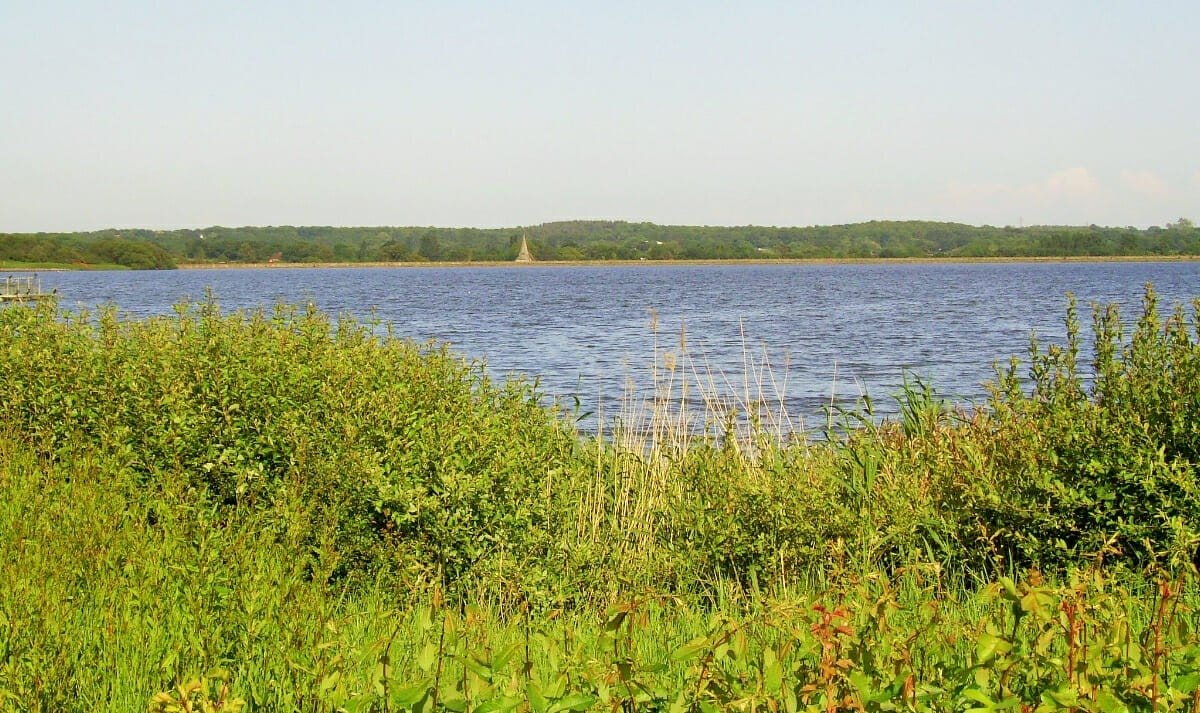 21 Fantastic Things to Do in Arlington, Texas (2024) - Happy To Be Texas