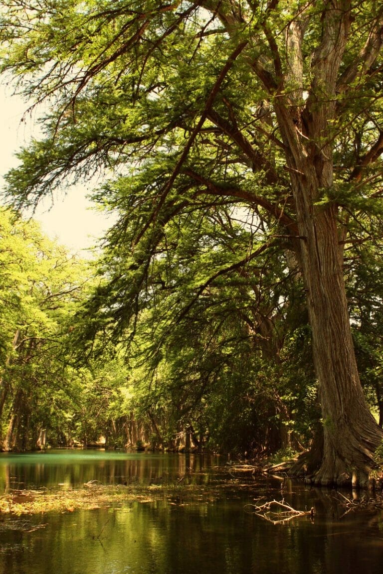13 Best Rivers in Texas (and which ones to float on!) - Happy To Be Texas