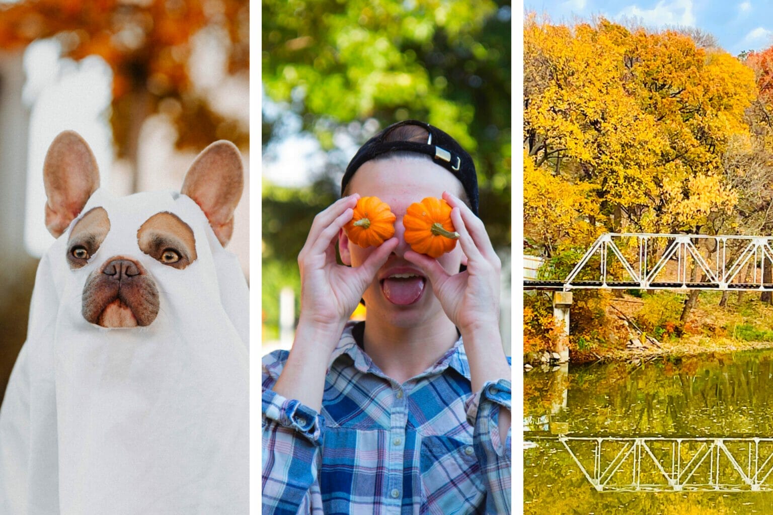 17 Best Things to Do in Texas in October (2024) - Happy To Be Texas