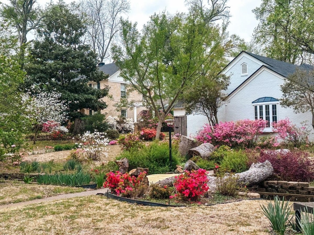 17 Best Things to Do in Texas in March (2024) - Happy To Be Texas