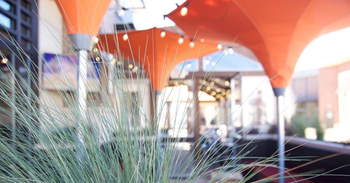 17 Best Restaurants in Southlake, Texas in 2024 (must-try!) - Happy To Be Texas